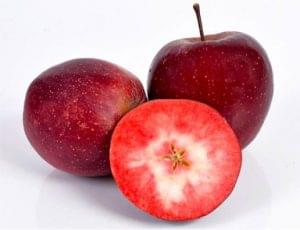 The Kissabel apples are popular - Trademagazin